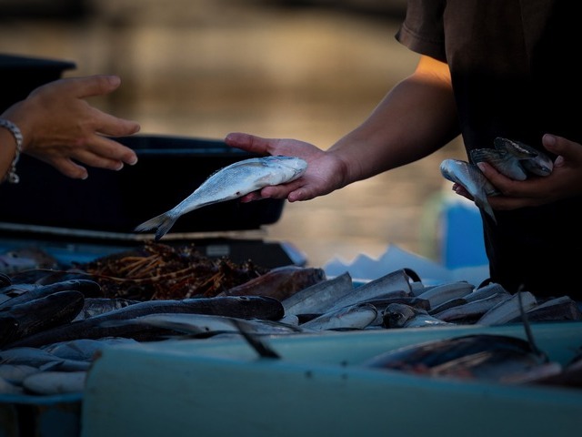 Fresh Seafood Hsinchu Hotel - Lakeshore hotel